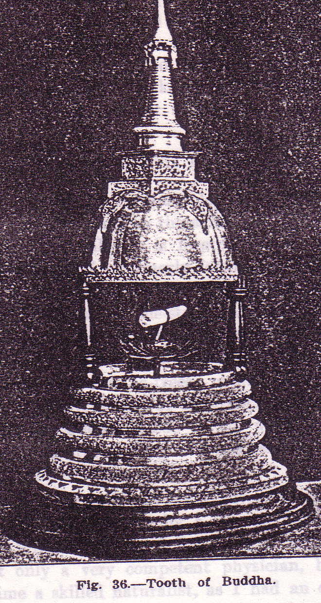 From Sachi’s Files – Chapter 13 – Ilankai Tamil Sangam