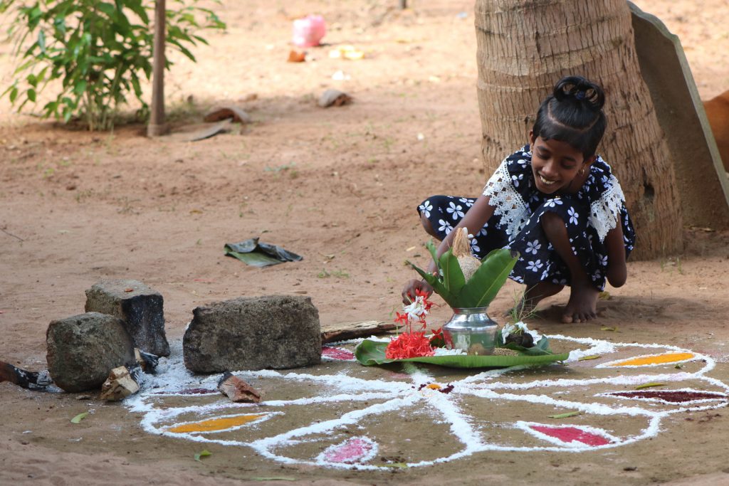 The Many Pongals of the Tamil People – Ilankai Tamil Sangam