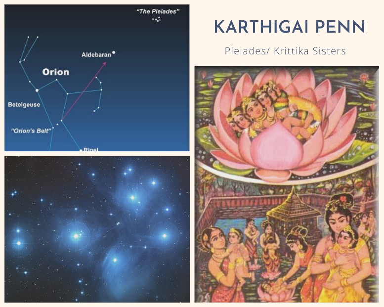 Karthigai Deepam: The Light of the Gods – Ilankai Tamil Sangam